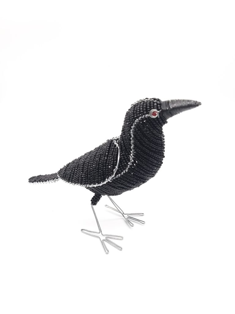 Birds: Crow - Woza Moya